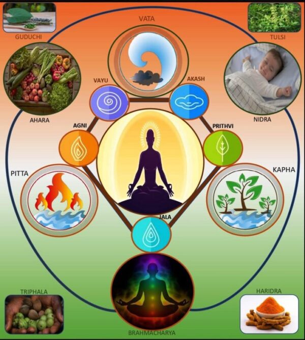 Kaya Chikitsa in Ayurveda: The Ancient Science of Healing the Body ...