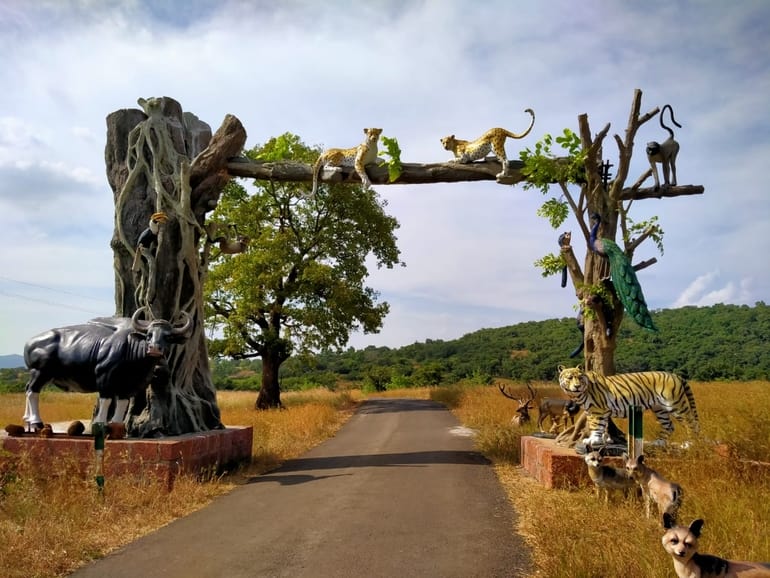 Exploring the Biodiversity Marvel: Chandoli National Park - 4Kerala
