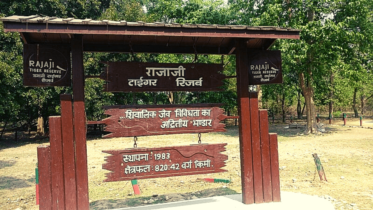 Rajaji National Park, Uttarakhand: A Wilderness Wonderland - 4Kerala